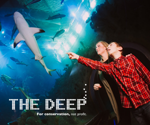 The Deep MPU | Enable Magazine | Enable Magazine is the UK's leading ...
